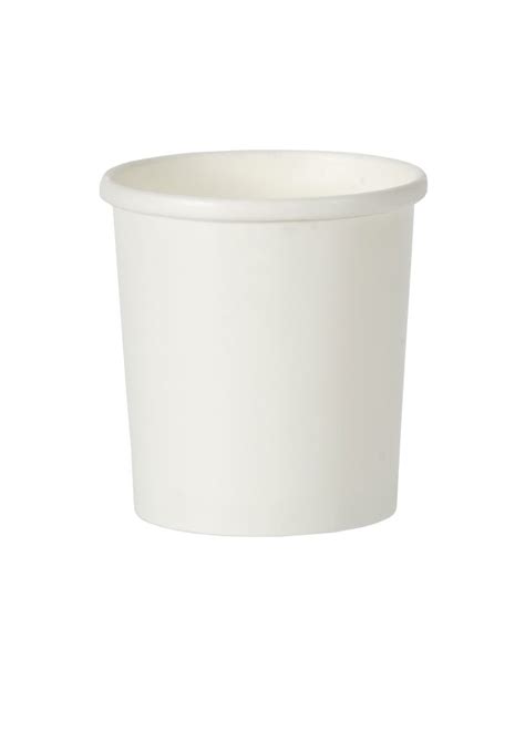 32oz Paper Container Sybron