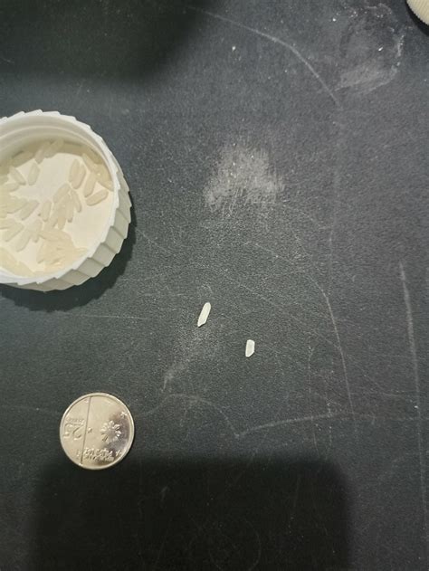 Rice Object Detection Dataset And Pre Trained Model By Rice