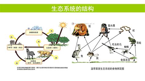 生态系统 知名百科