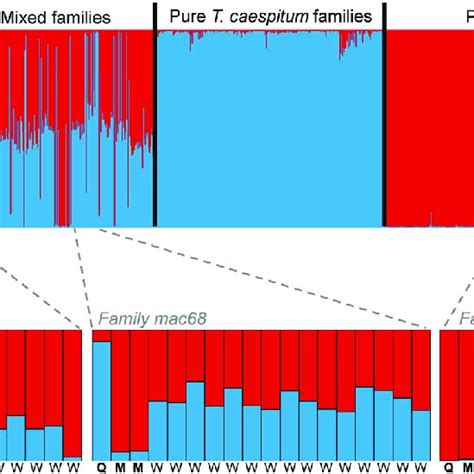 top barplot obtained from structure bayesian clustering based on the