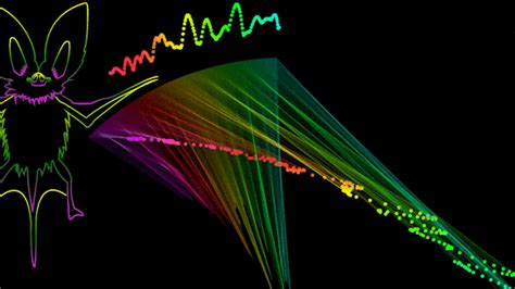 My Experiments With Vanilla Javascript Audio Visualizers Tutorial