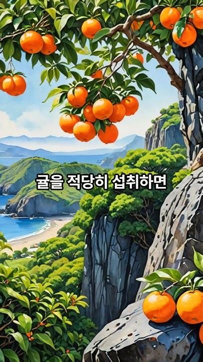 귤을 많이 먹으면 피부가 노래질까 궁금하네 Youtube