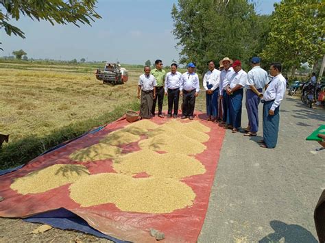 အုတ်တွင်းမြို့နယ်အတွင်း နွေစပါးစံကွက်ရိတ်သိမ်းခြင်းနှင့် နိုင်ငံ့စီးပွားမြှင့်တင်ရေး လုပ်ငန်းရှင