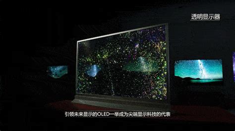 公司动态