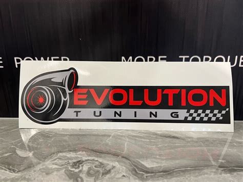 Evolution Sticker Large