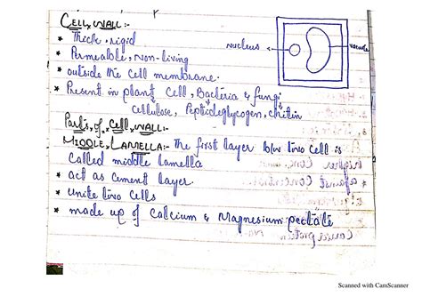 Solution What Is Cell Wall Studypool