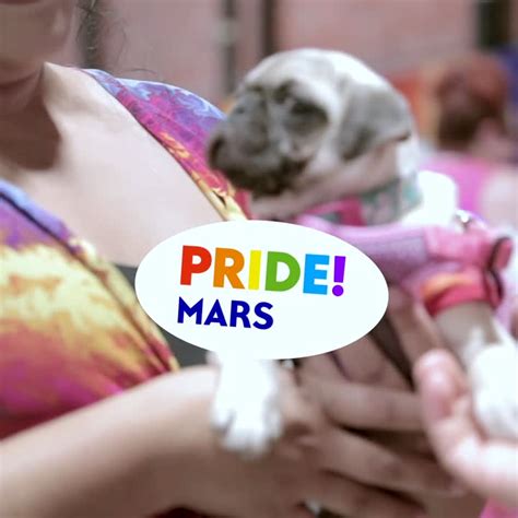 Jayson Bennett On Linkedin We Celebrate Mars Pride Every Day