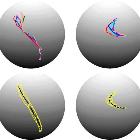 Summary Of Trajectories On S 2 A A Simulated Example B Bird Download Scientific Diagram