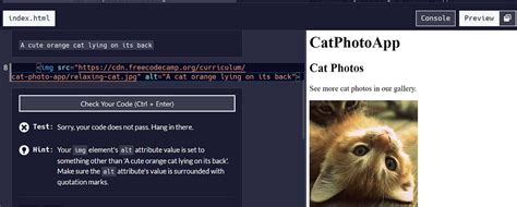 Learn Html By Building A Cat Photo App Step 9 Html Css The