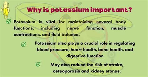 Benefits Of Potassium In Banana Banana Dose