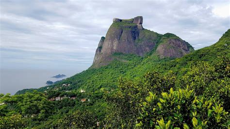 Travel Guide Tijuca Forest Best Rainforest Tours With A Local