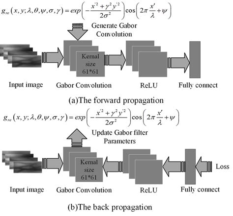 Framework Of The Experiment Download Scientific Diagram