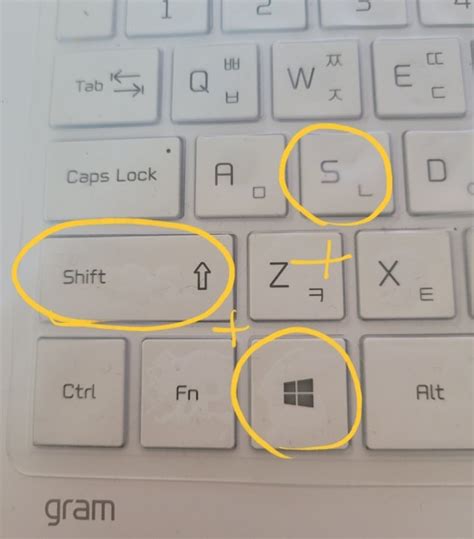 엘지 그램 노트북 스크린샷 화면캡쳐 네이버 블로그