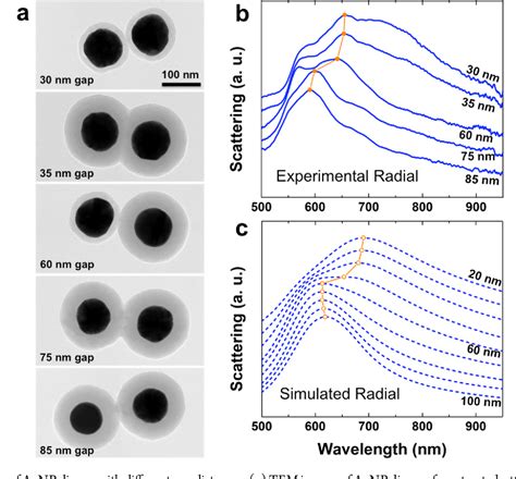 Figure 1 From Dark Plasmon Modes In Symmetric Gold Nanoparticle Dimers Illuminated By Focused