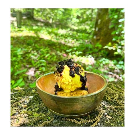 Hambidge Hambidgecenter Hambidgefellow Culinaryartist Culinaryarts Icecream