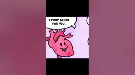 Boobies Youtube Boobies Youtube