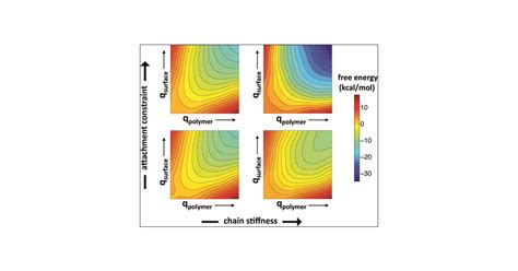 Chain Stiffness And Attachment Dependent Attraction Between