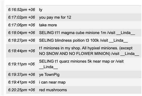 Weird Minor Chat Infraction Hypixel Forums