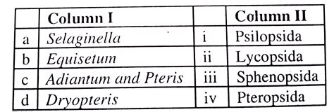 Match The Columns I And Ii And Choose The Correct Combination From Th