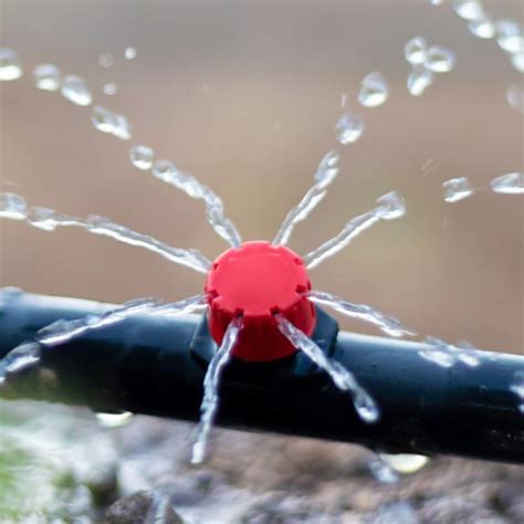 טיפול במי השקיה עם מערכת ה®chlorun Icl Chem