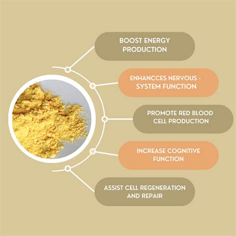 B Complex Wholefood Powder Plantfed Mana