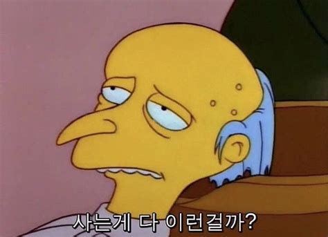 [바이가니 By Gani] 심슨네 가족들 The Simpsons 명장면 명대사 모음 심슨짤 네이버 블로그 귀여운 밈 심슨 가족 재미있는 디즈니 밈