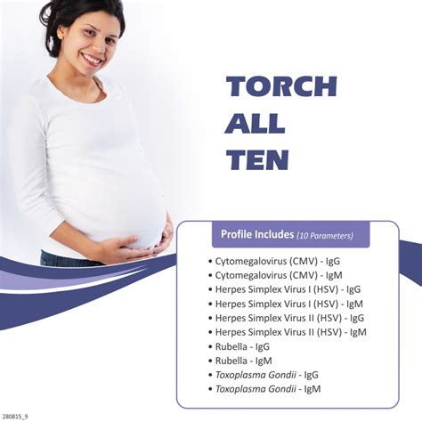 Torch All Ten Test Profile Price Rs 2199 Thyrocare