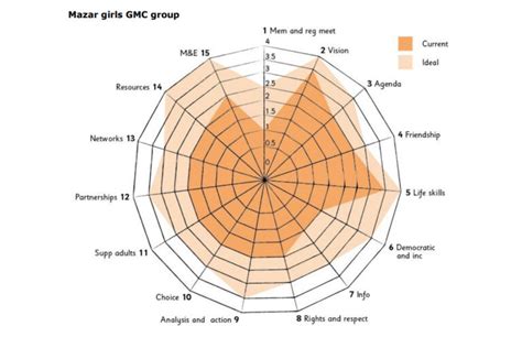 Printable Spider Chart Template