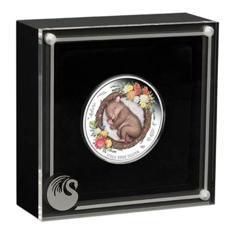 australia 2021 wombat 50c coloured 1 2oz silver proof coin tasmanian