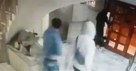 Video Esperó A Que Su Vecino Bajara Para Pasear Al Perro Y Lo Atacó A Puñaladas En La Puerta