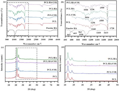 通过涂有胶原蛋白和羟基磷灰石的 3d 打印 Pcl 支架增强干细胞的成骨分化 Scientific Reports X Mol