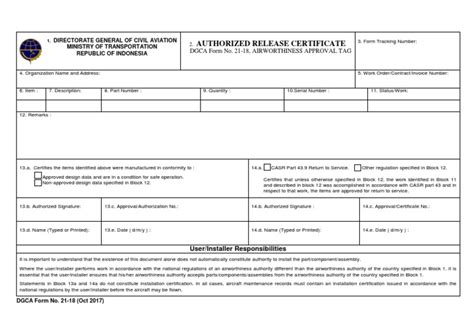 Dgca Form 21 18 Authorized Release Certificate Oct 2017 Pdf Aviation