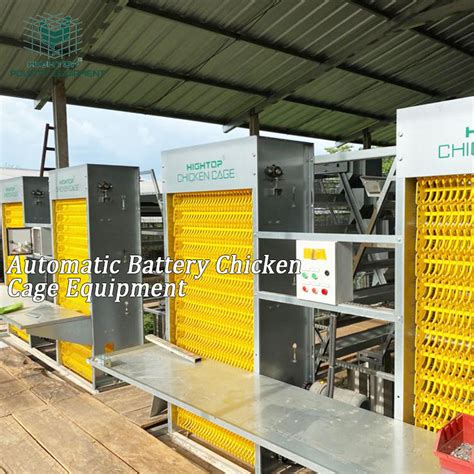 Poultry Farming Automatic A Type Battery Chicken Layer Cage China