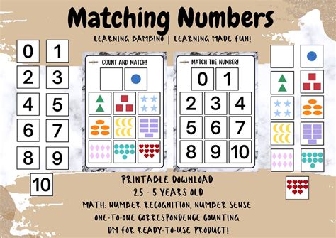 Count And Match Activity Number Matching Number Recognition One To One Correspondence Counting