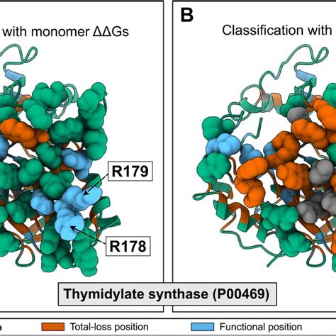 Analysing Functional Sites At A Protein Protein Interface We Show The Download Scientific
