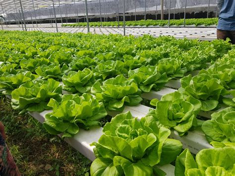 Event Gallery Sldb Official Website