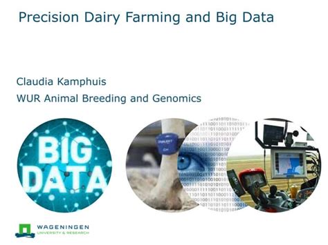 Big Data And Precision Dairy Farming Pptx