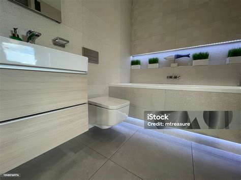 현대 사각형 벽 걸려 화장실 팬과 푸시 버튼 화장실 플러시 플레이트 흰색 욕조 은폐 조명 현대 큰 직사각형 돌 벽 타일 나무 물고기 가짜 잔디의 흰색 골짜기와 현대적인 흰색