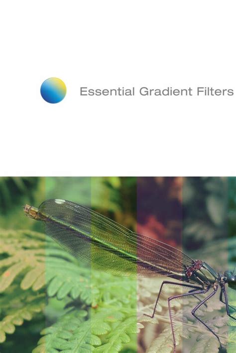 Essential Gradient Filters Masterbundles