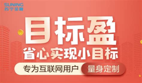 无惧市场波动一键锁定收益 苏宁金融目标盈值得拥有 极客公园