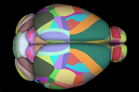 Four Of The Five Datasets Used For Performance Testing In Reading