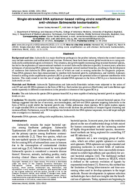 Pdf Single Stranded Dna Aptamer Based Rolling Circle Amplification As Anti Chicken Salmonella