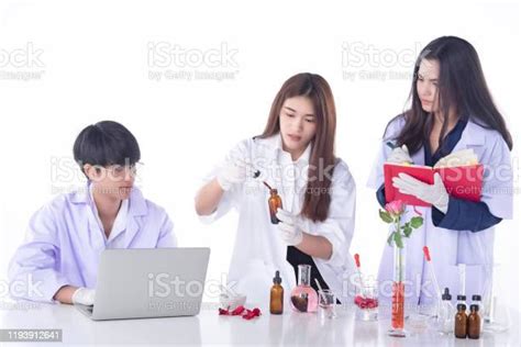 실험실에서 실험을 수행하는 과학자 화학 및 자연 유기 추출물 연구팀 실험실 테스트에서 아로마 필수 연구 Stem 주제에 대한 스톡 사진 및 기타 이미지 Istock