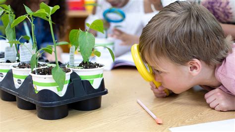 Why Is Hands On Learning Important