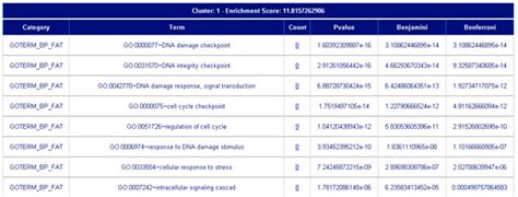 The Functional Annotation Clustering Showed Using Mirto The Functional Download Scientific