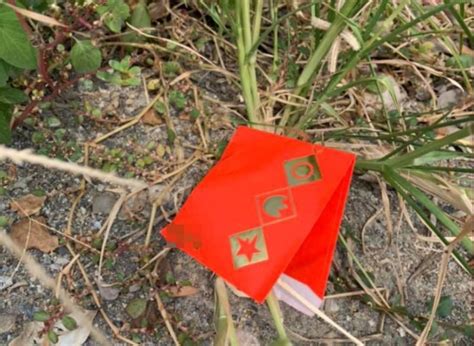 媽路邊撿紅包！他急丟金爐化解 下秒驚見「一幕」秒發毛 新奇 Nownews今日新聞