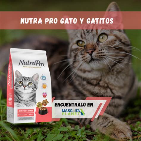 Nutra Pro Gatos Y Gatitos