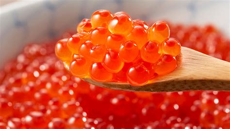 Masago Fish