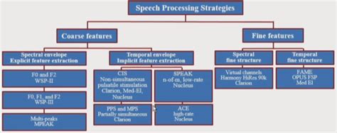 Npe Cochlear Implants Speech Processing Strategy Medical Programmer