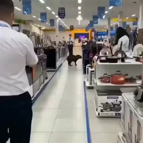 Shes Shopping Tumbex